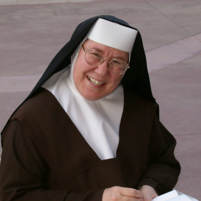 Our Religious Family | Carmelite Sisters of the Most Sacred Heart of ...